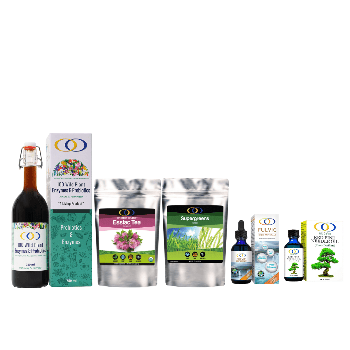 PrepperKitproductshot.png?v=1759269534